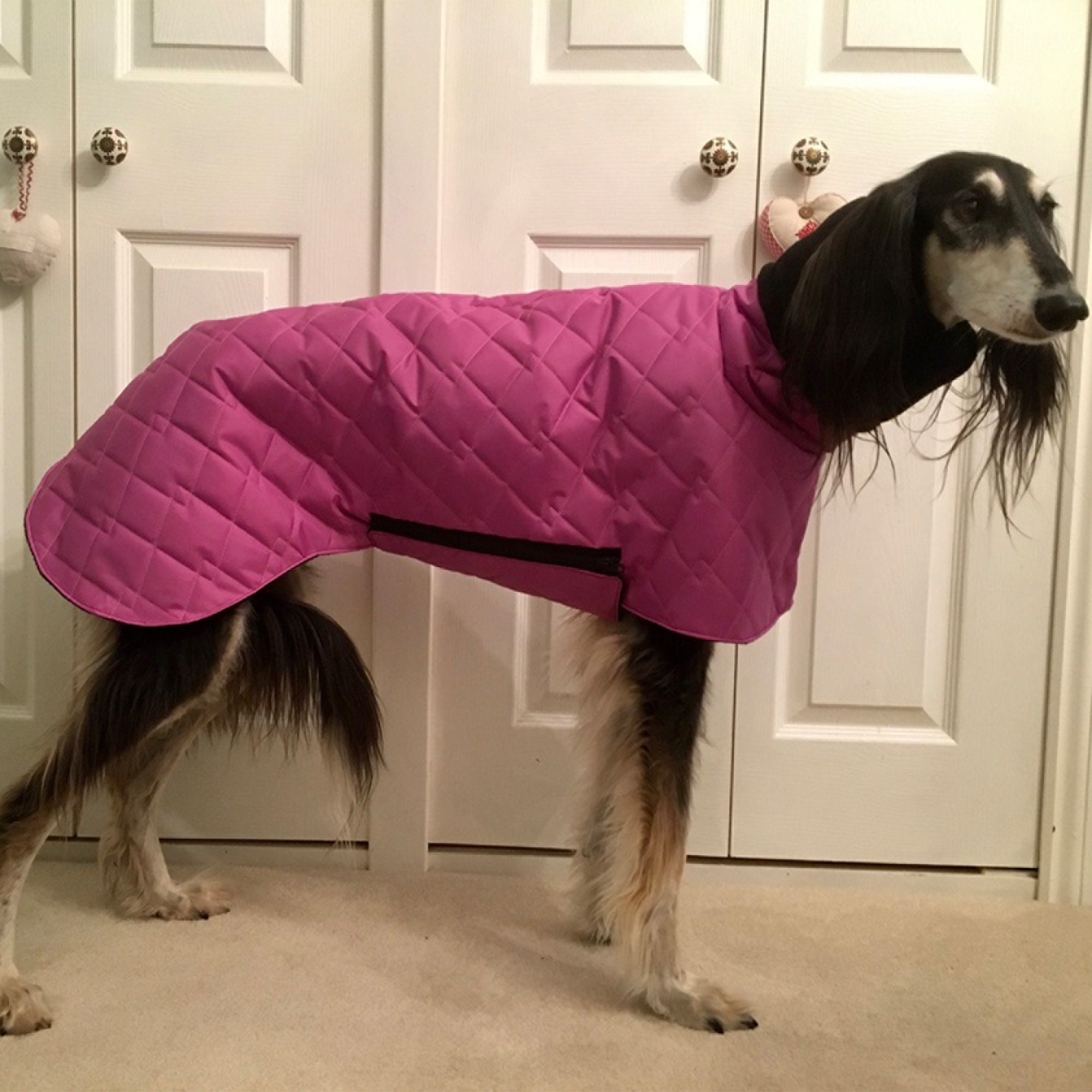 Sighthound Raincoat - Etsy UK