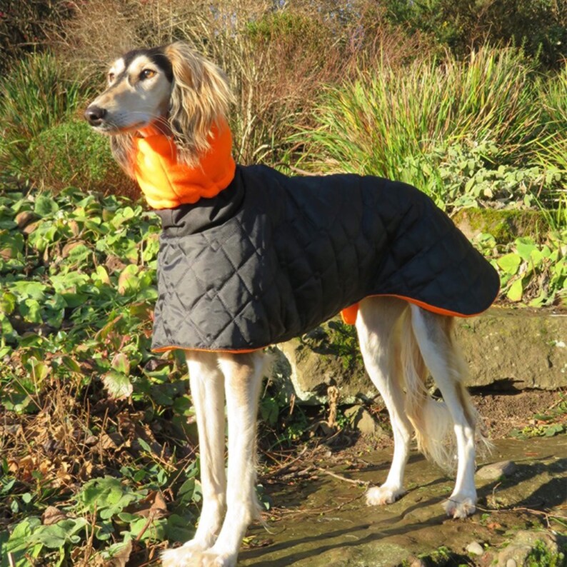 Sighthound Raincoat - Etsy UK