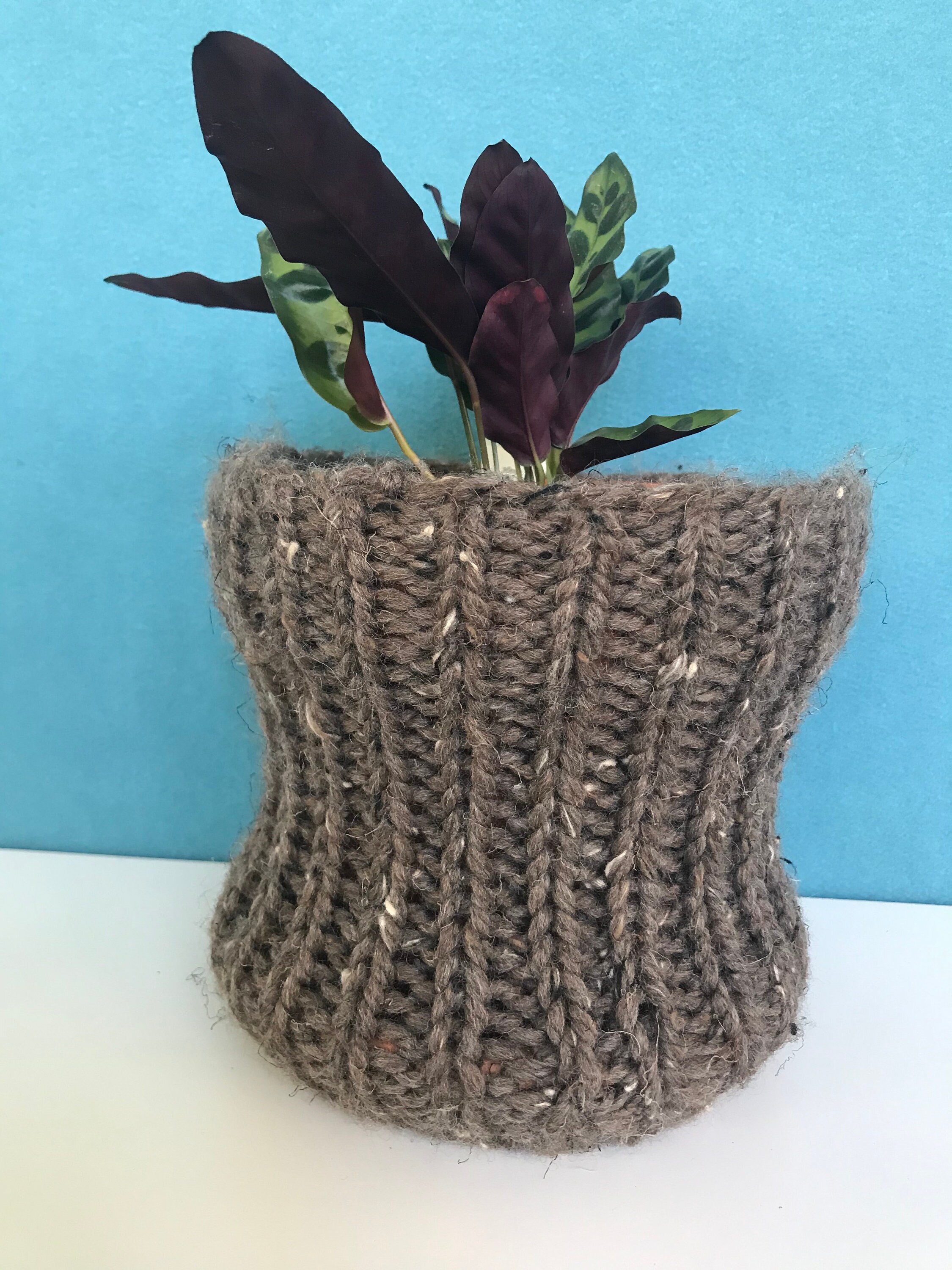 Ma-ti Plant Pot Cosy Knitting Pattern PDF - Etsy