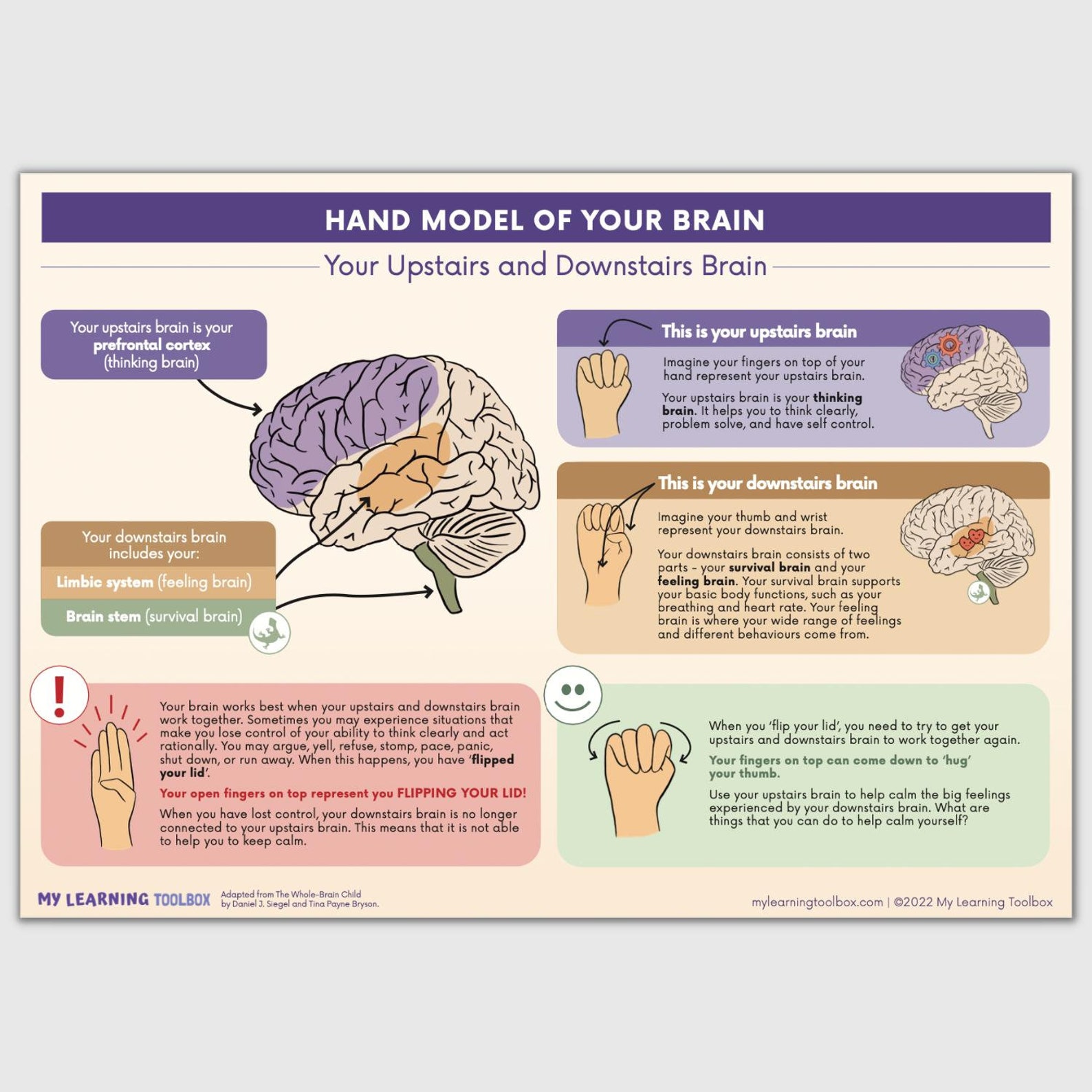 Hand Model of Your Brain Poster (printable) | Brain Poster | Upstairs ...