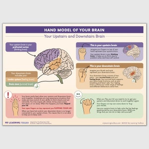 Hand Model of Your Brain Poster (printable) | Brain Poster | Upstairs ...