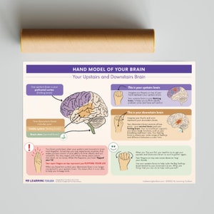 Hand Model of Your Brain Poster (printable) | Brain Poster | Upstairs ...