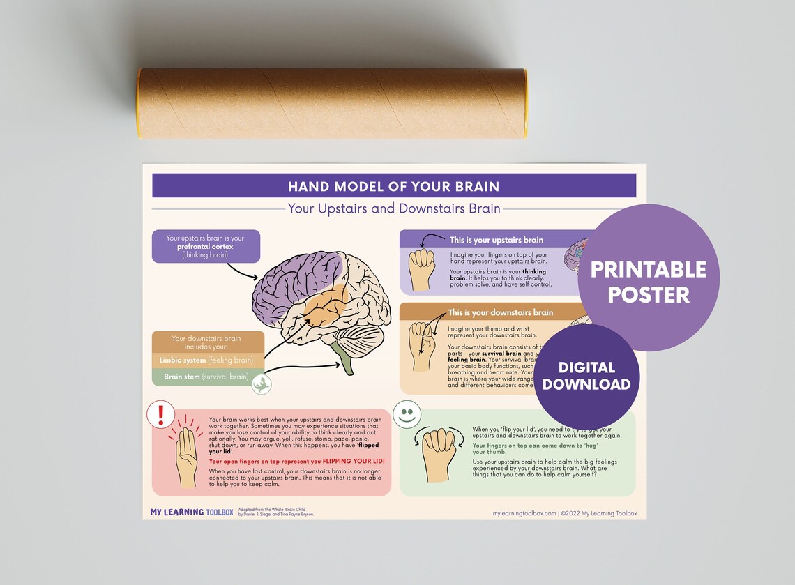 Hand Model of Your Brain Poster (printable) | Brain Poster | Upstairs ...