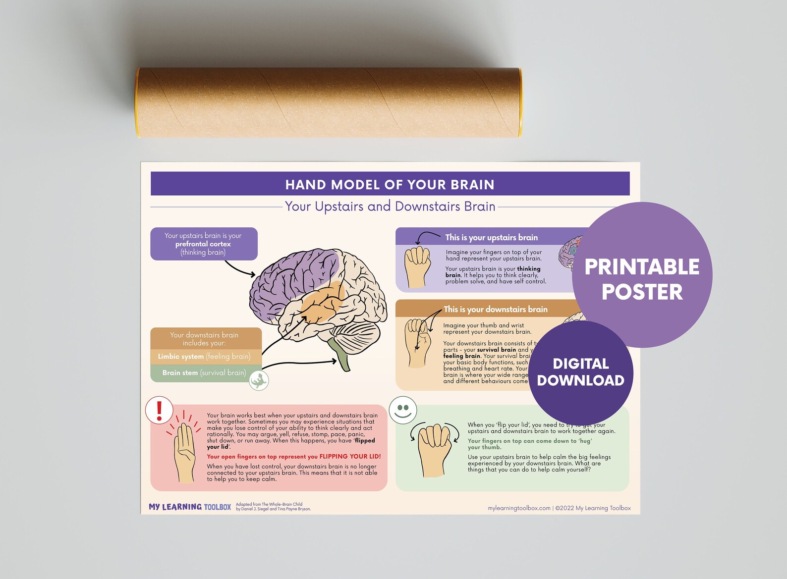 Hand Model of Your Brain Poster (printable) | Brain Poster | Upstairs ...