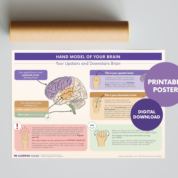 Brain Hand Model Poster - Etsy