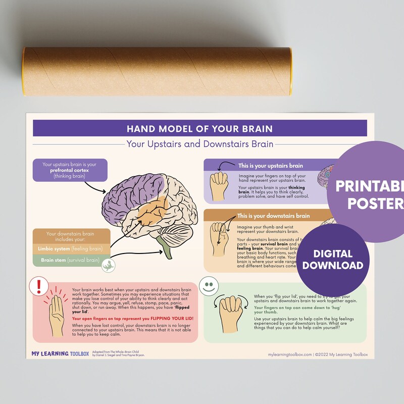 Brain - Etsy