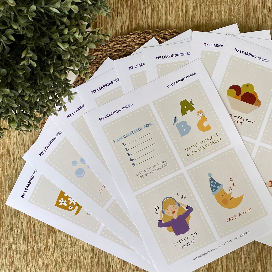 Calm Down Cards printable Self-regulation Strategies - Etsy