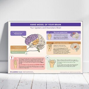 Hand Model of Your Brain Poster (printable) | Brain Poster | Upstairs ...