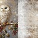 Reba Rose Creations Rice Paper for Decoupage | Winter White Owl ...