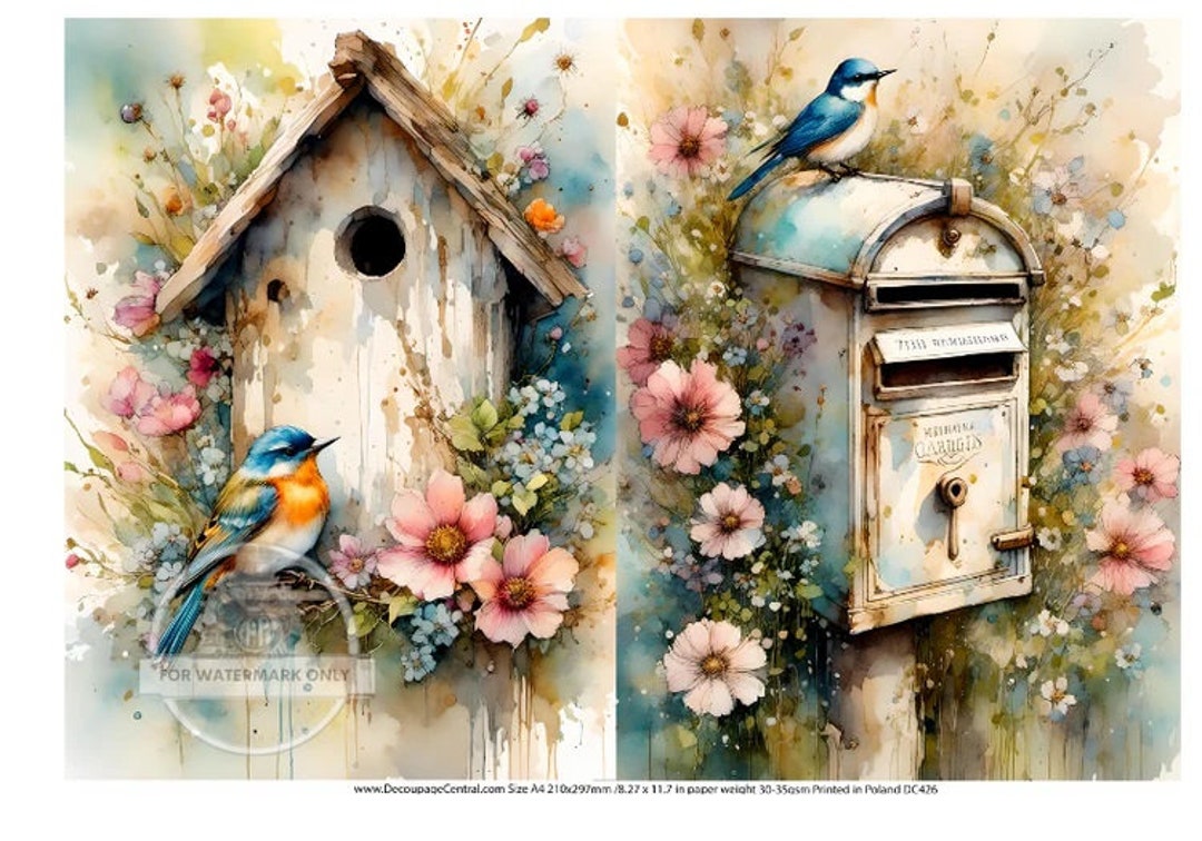 Decoupage Central, Rice Paper, Birds, Mail Box, Bird House, Spring ...