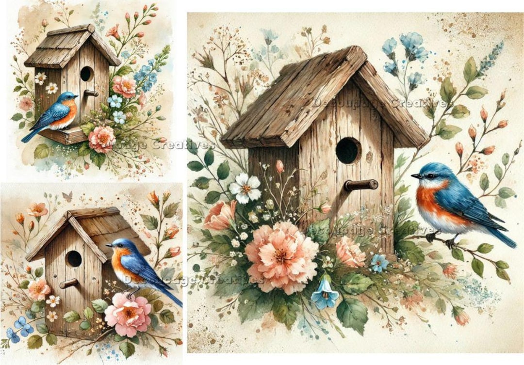 Decoupage Creatives Rice Paper, Spring, Flowers, Bird Houses, Cards ...
