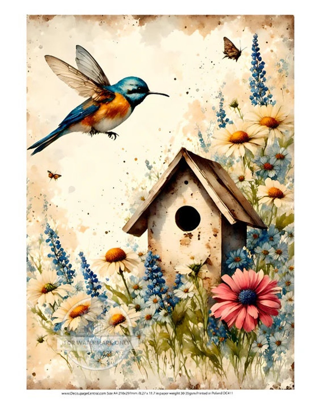 Decoupage Central, Rice Paper, Hummingbird, Bird House, Spring, Flowers ...