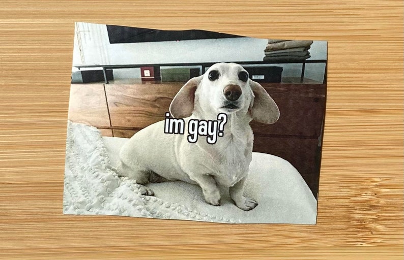 Whitney the Homophobic Dog Stickers - Etsy Australia
