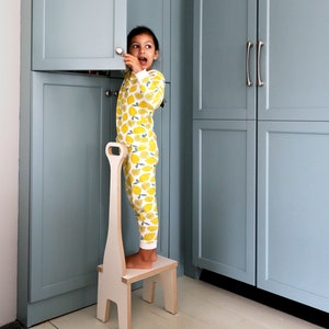 Step Stool With Long Handle | Handcrafted and Colorful | Great for Kids ...