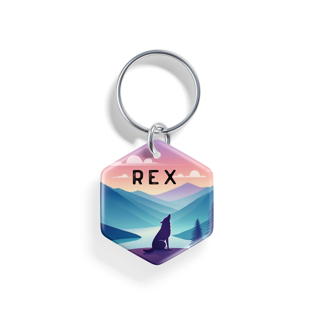 Dog Tags/ Dog Collar Tag Personalized/ Moon Dog Tag/ Adventure Dog ...