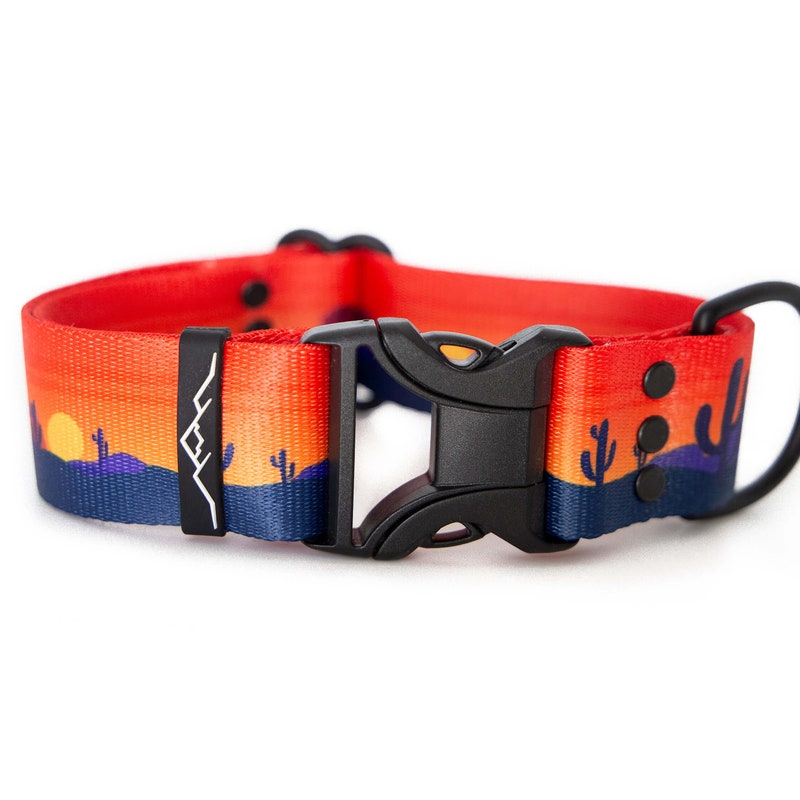 Unique Dog Collar - Etsy