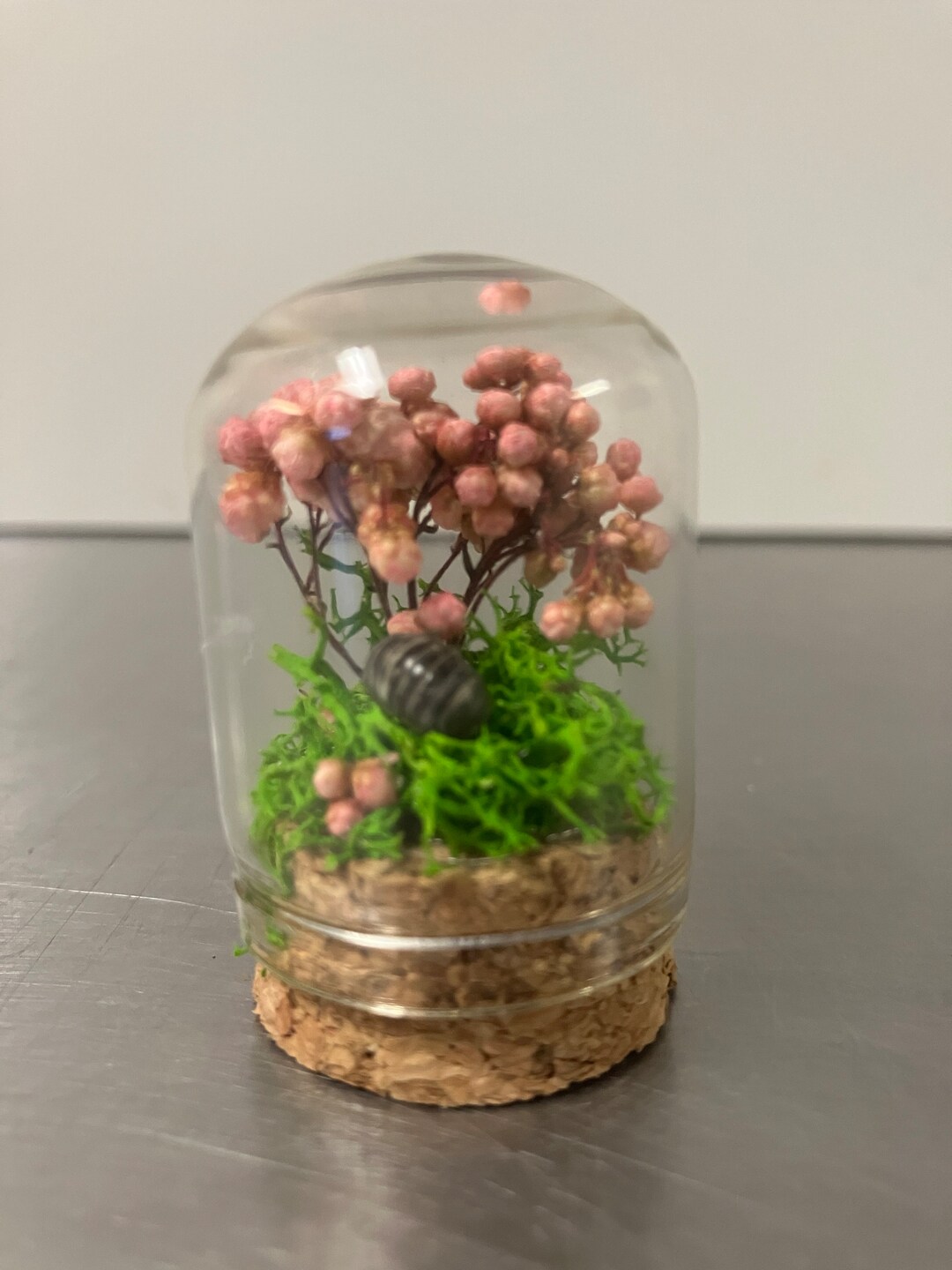 Mini Taxidermy Domes - Etsy