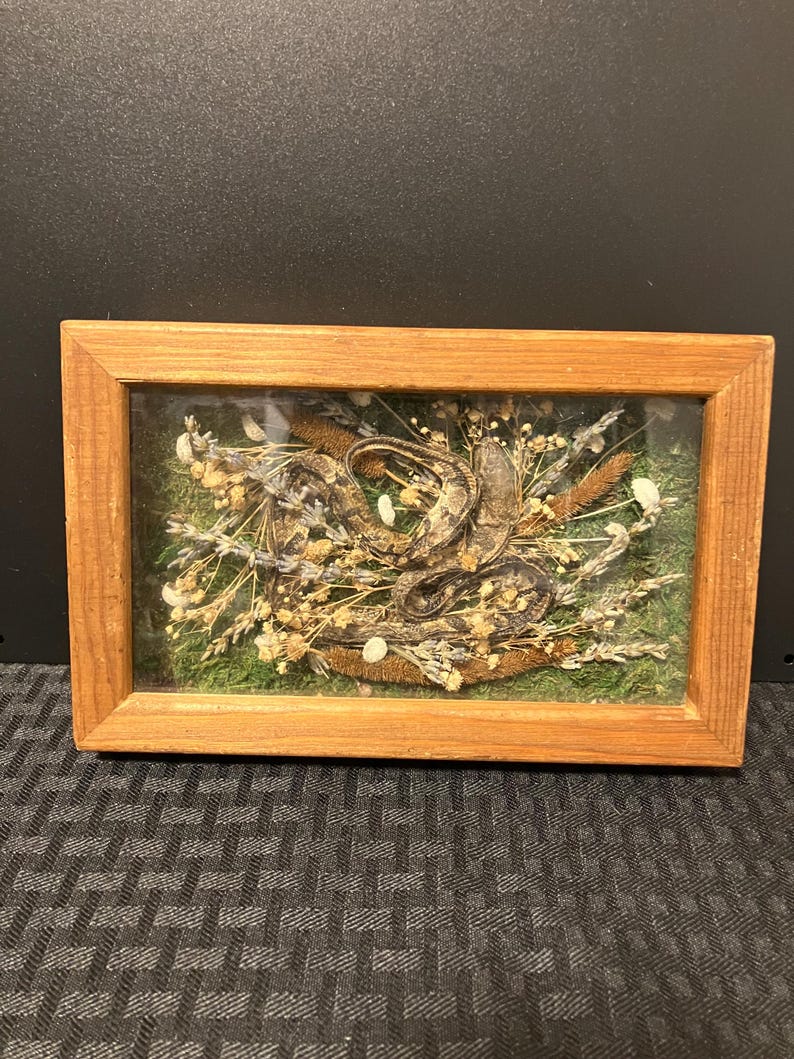 Shadow Boxes - Etsy