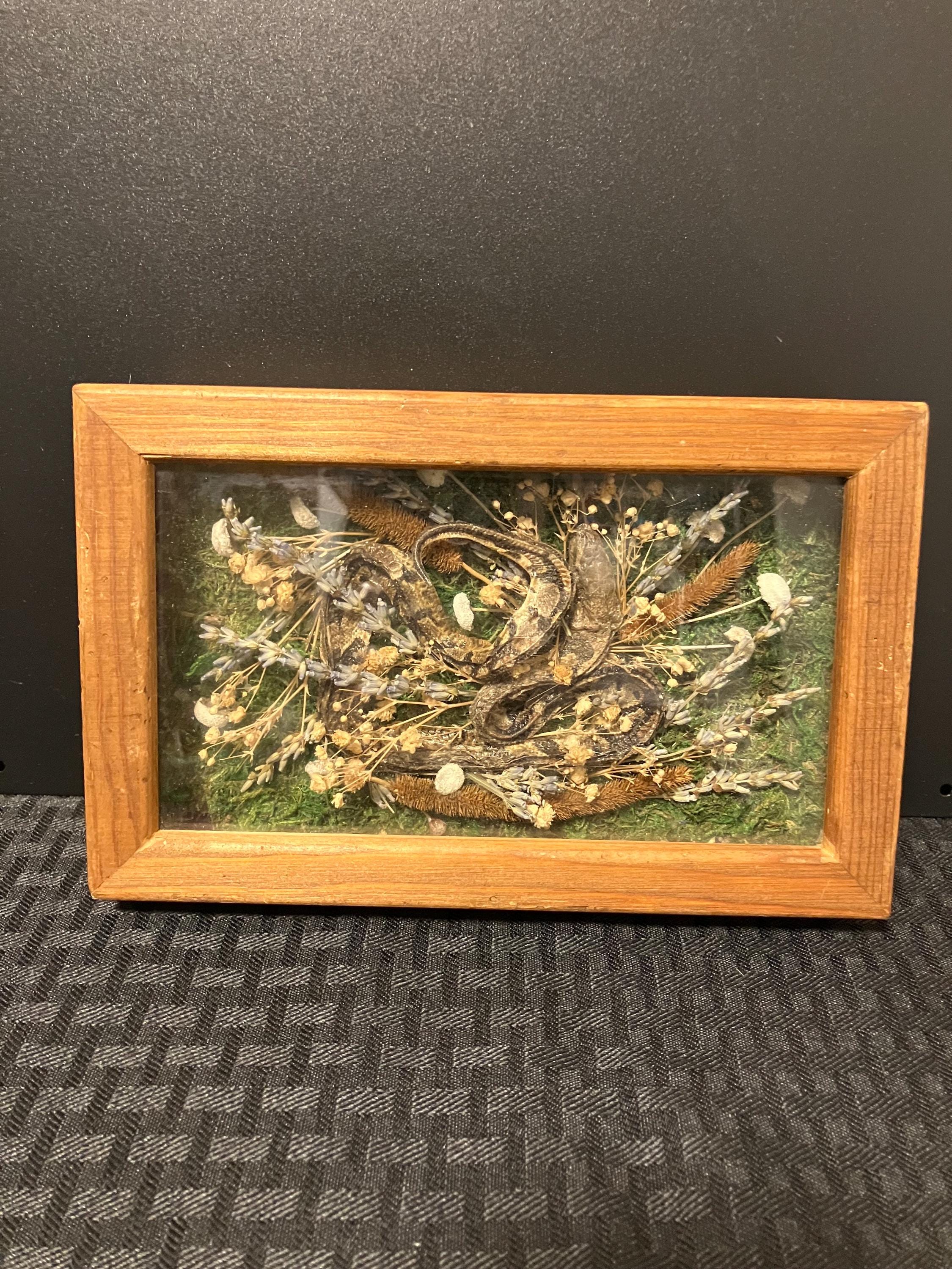 Shadow Boxes - Etsy