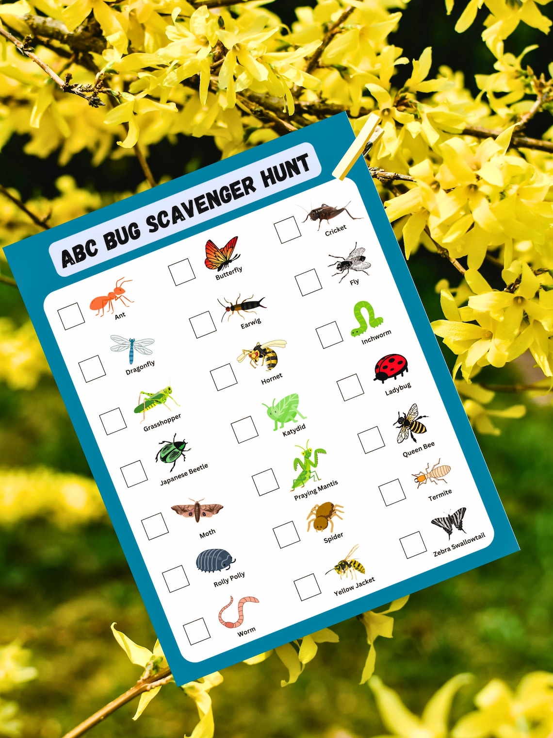 Bug Scavenger Hunt Printable for Kids, Outdoor Summer Activities for ...