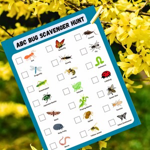 Bug Scavenger Hunt Printable for Kids, Outdoor Summer Activities for ...