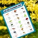Bug Scavenger Hunt Printable for Kids, Outdoor Summer Activities for ...