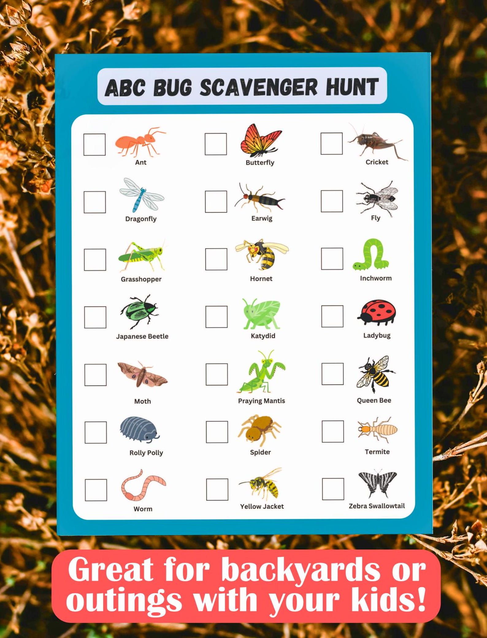 Bug Scavenger Hunt Printable for Kids, Outdoor Summer Activities for ...