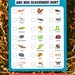 Bug Scavenger Hunt Printable for Kids, Outdoor Summer Activities for ...