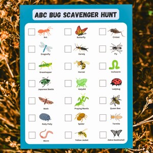 Bug Scavenger Hunt Printable for Kids, Outdoor Summer Activities for ...