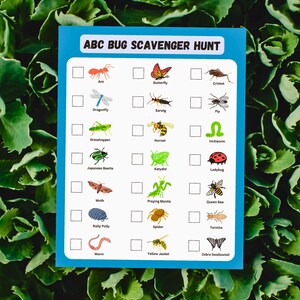 Bug Scavenger Hunt Printable for Kids, Outdoor Summer Activities for ...