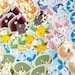 Evolution Vinyl Stickers | Evolution Stones - Etsy