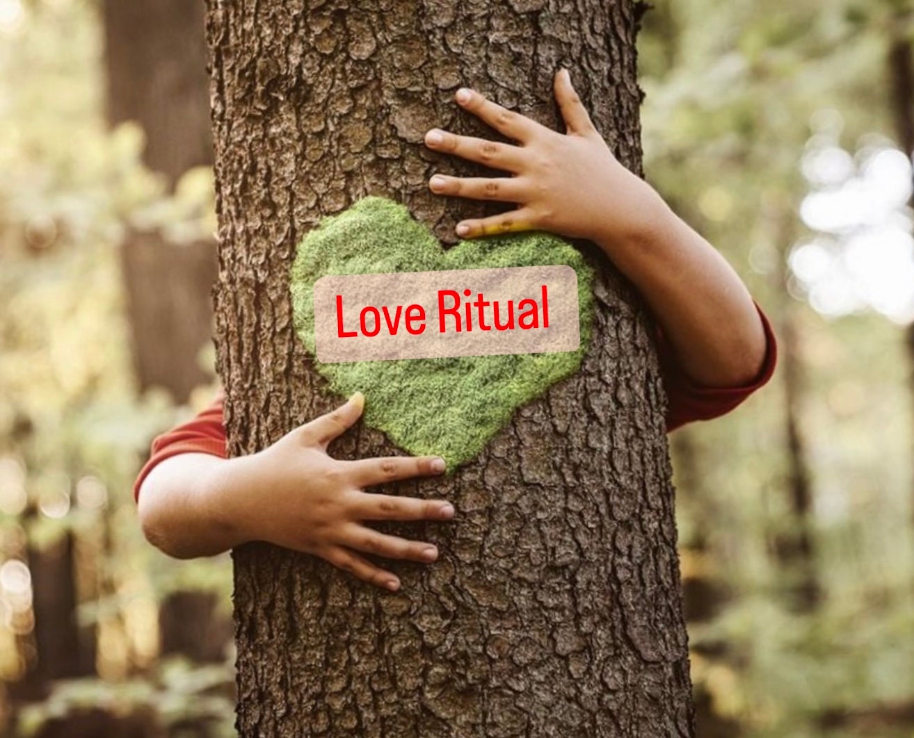 Love Ritual Shrine Bundle - Etsy