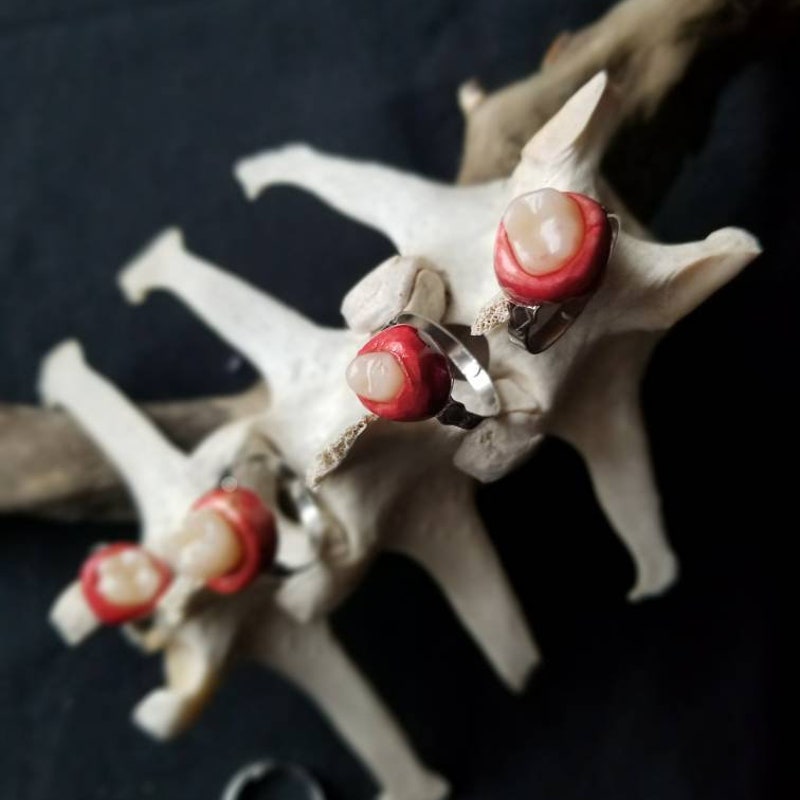 Tooth Ring - Etsy