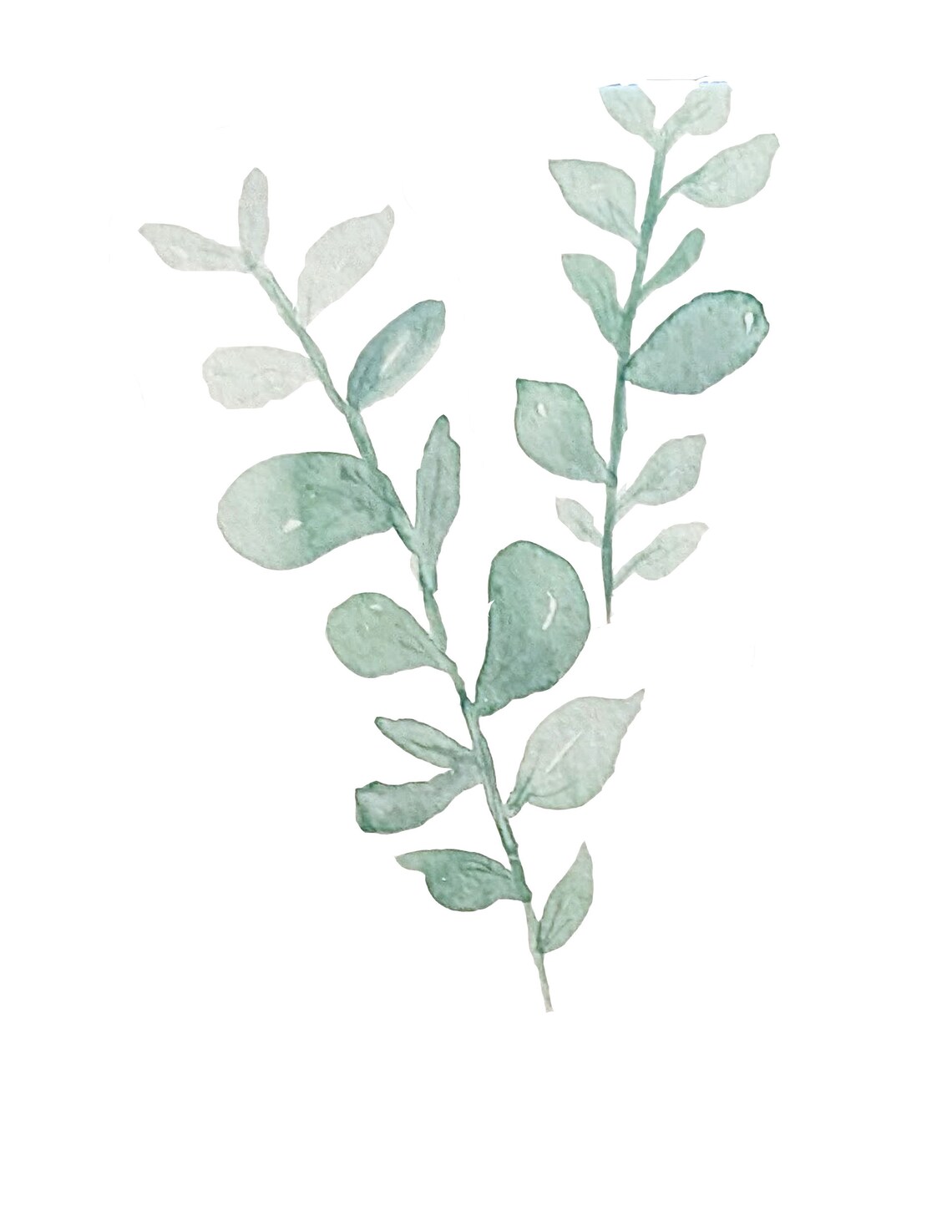 Spring Clip Art Watercolor Flowers Pastel Flower Clip Art - Etsy