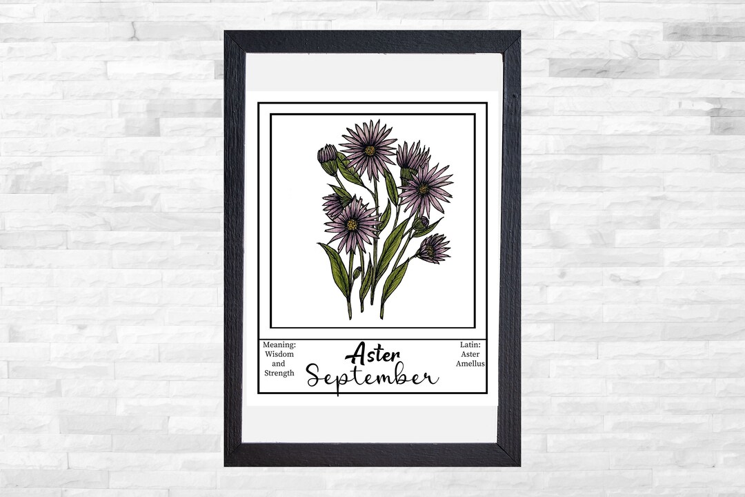 September Birth Flower Watercolor | September Flower of the Month ...