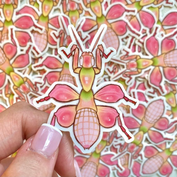 Orchid Mantis Bug Sticker - Etsy