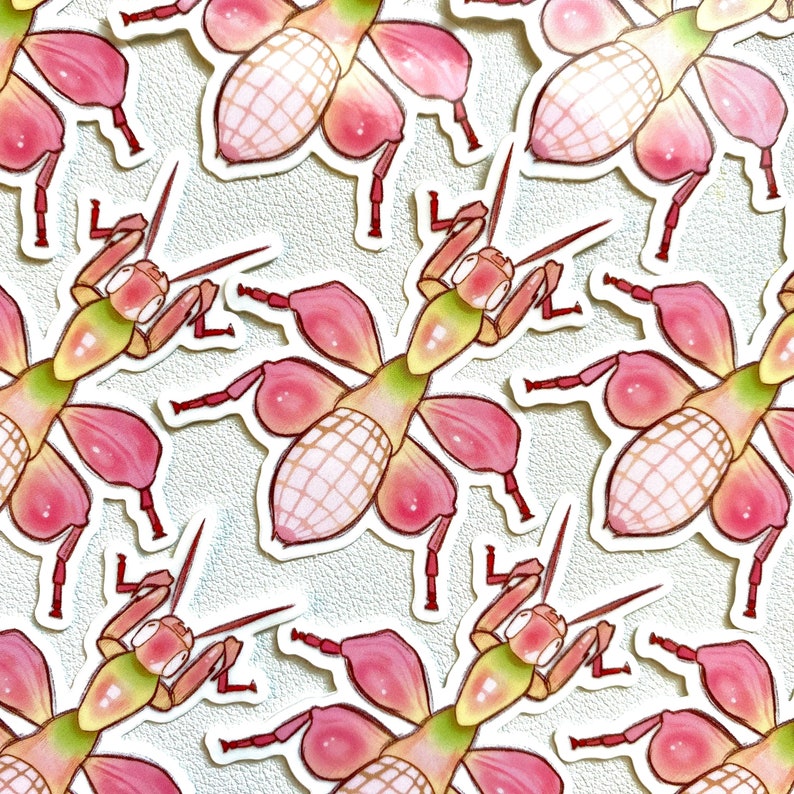 Orchid Mantis Bug Sticker - Etsy