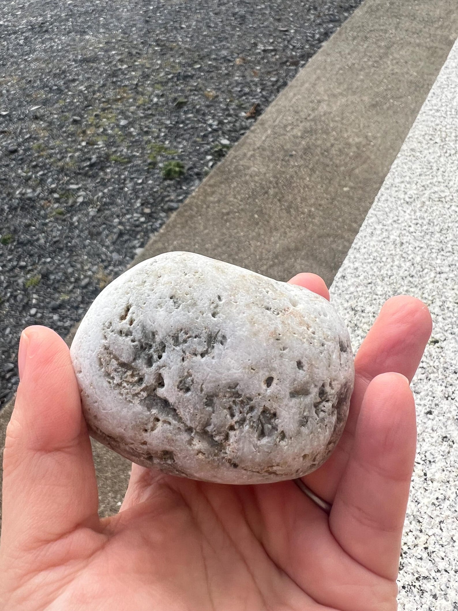 Rare White Fossil Hag Stone – Ancient Sea-formed Irish Stone for ...
