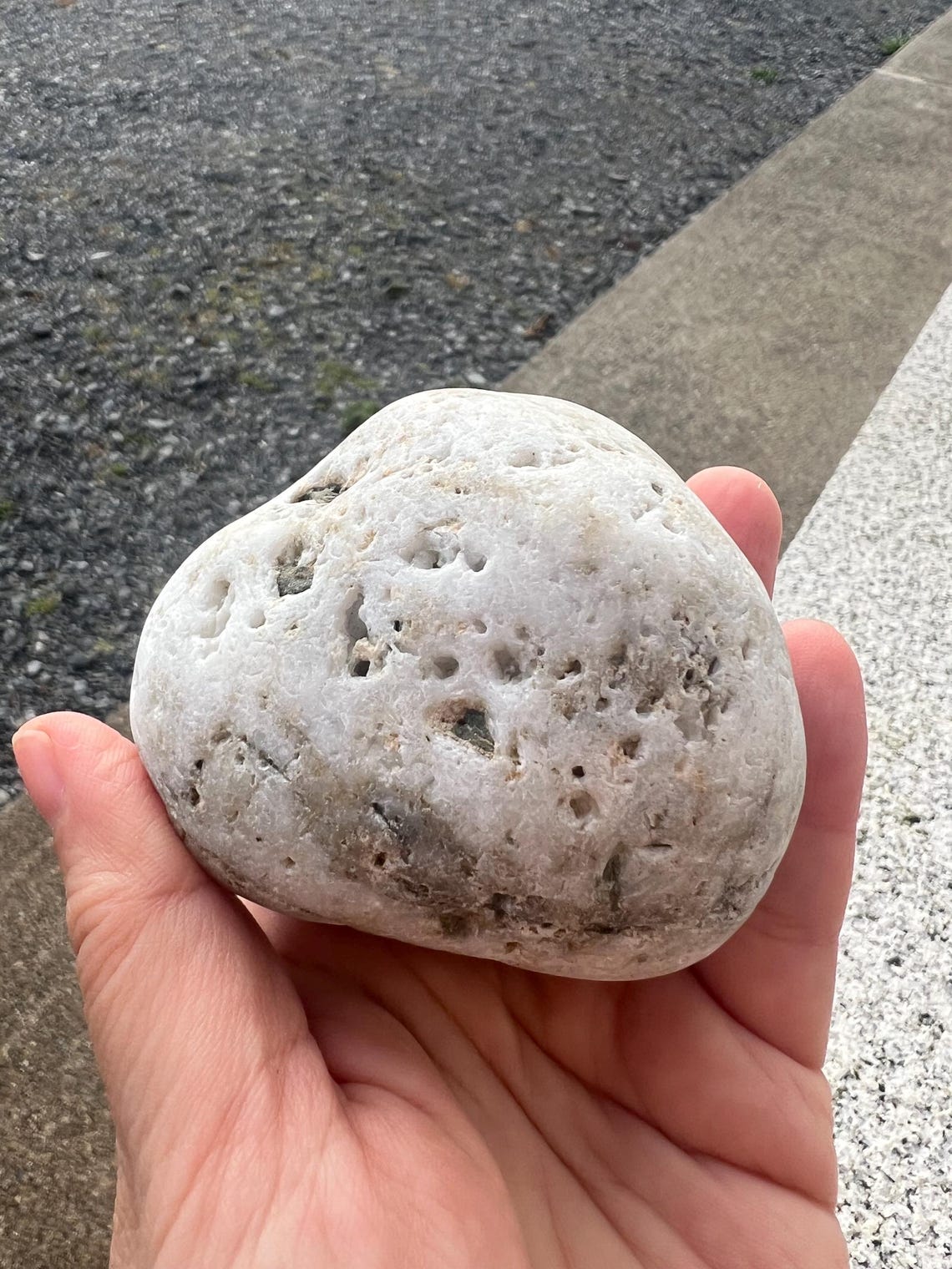 Rare White Fossil Hag Stone – Ancient Sea-formed Irish Stone for ...