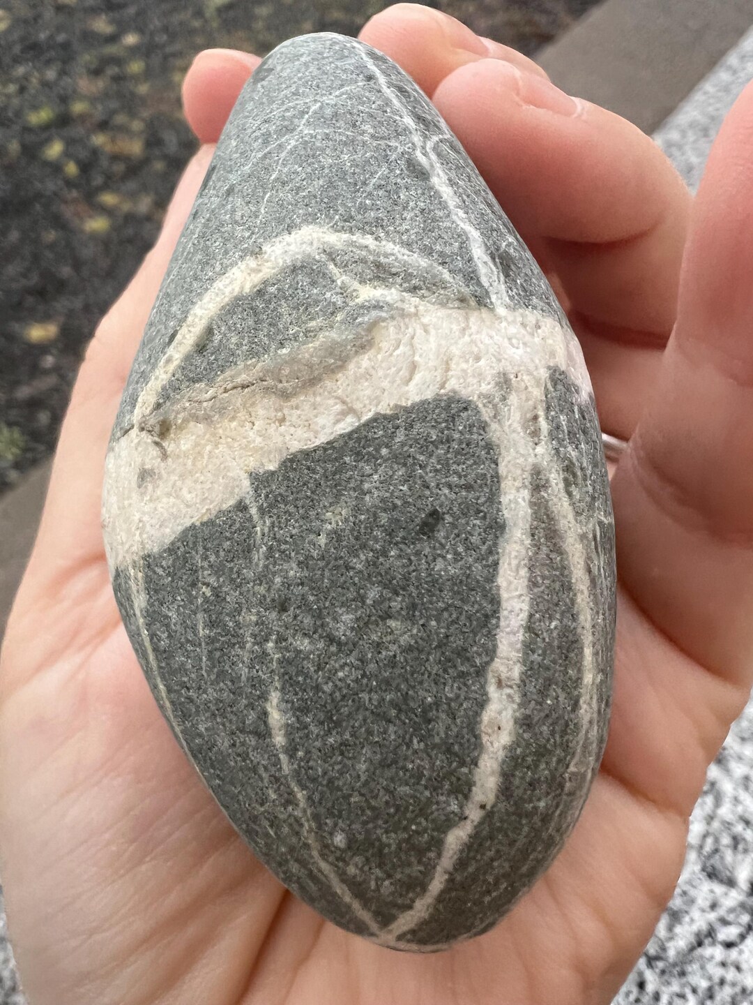 Rare Irish Wishing Stone - Grey Pebble With Striking White Lines ...
