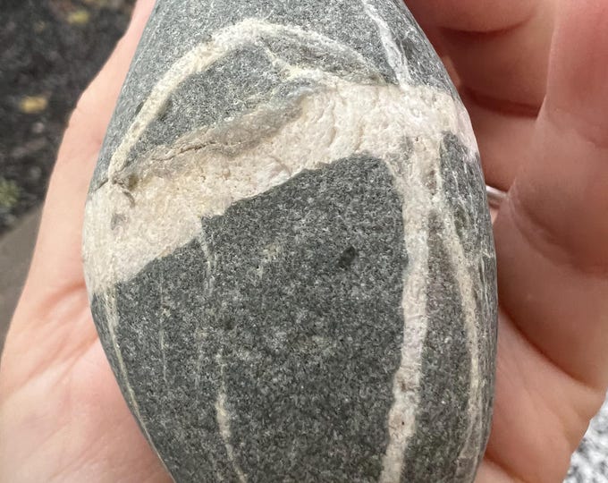 Rare Irish Wishing Stone - Grey Pebble With Striking White Lines ...