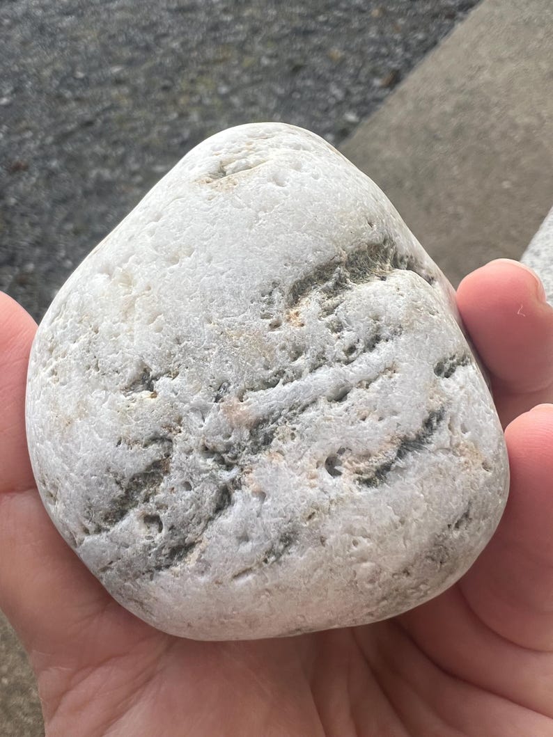 Rare White Fossil Hag Stone – Ancient Sea-formed Irish Stone for ...