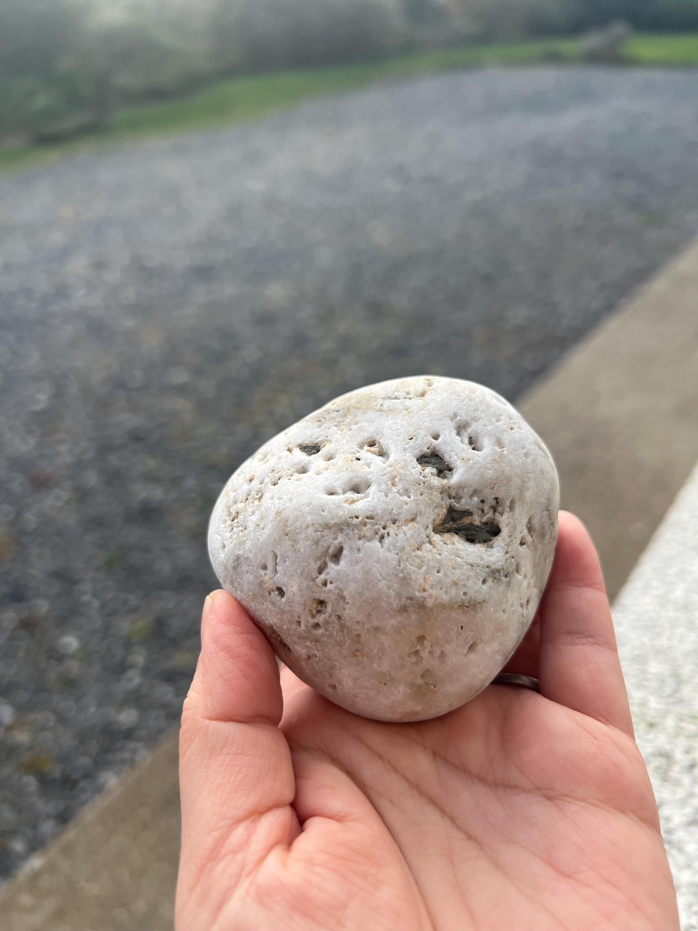 Rare White Fossil Hag Stone – Ancient Sea-formed Irish Stone for ...