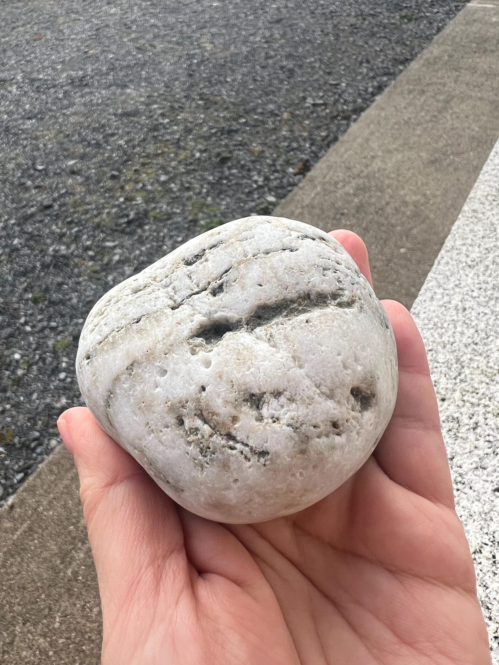 Rare White Fossil Hag Stone – Ancient Sea-formed Irish Stone for ...