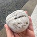 Rare White Fossil Hag Stone – Ancient Sea-formed Irish Stone for ...