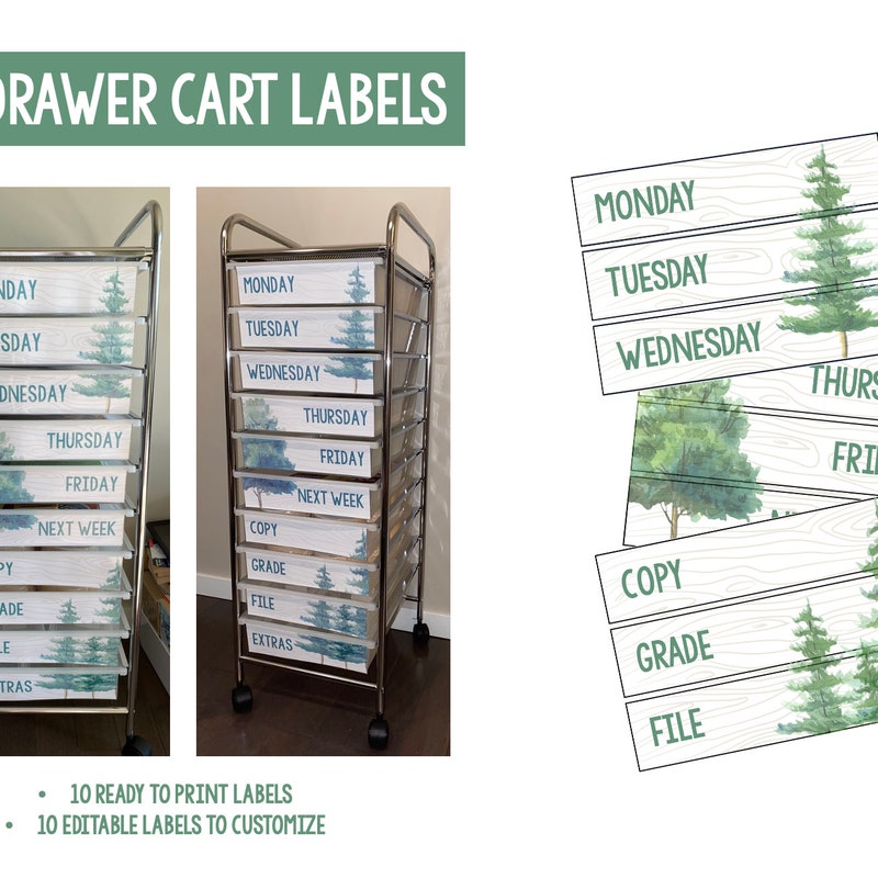 Teacher Rolling Cart - Etsy