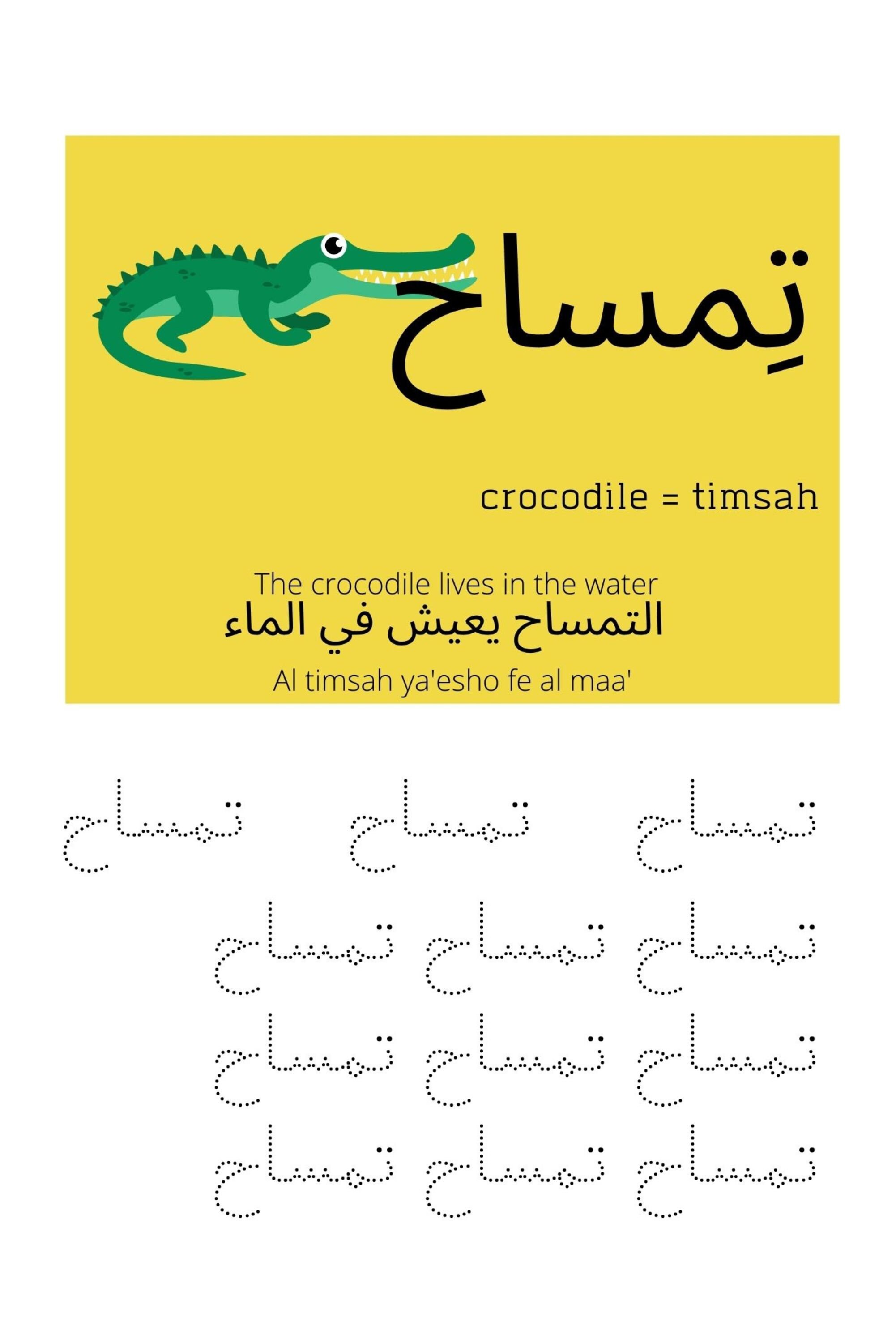 Blue Multi-color Arabic Alphabet & Words Tracing Workbook - Etsy