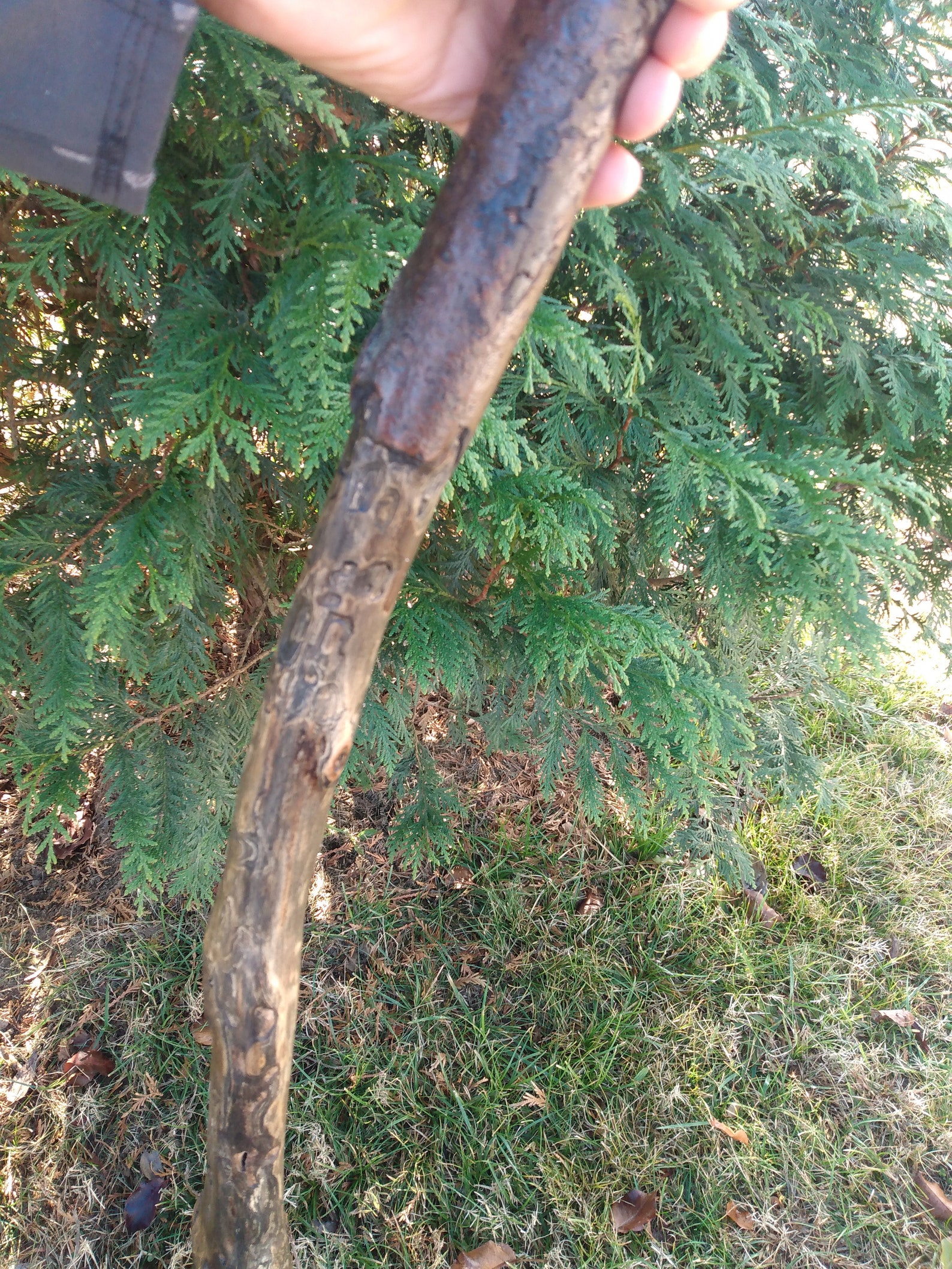 Customizable Walking Sticks and Pole Staffs - Etsy