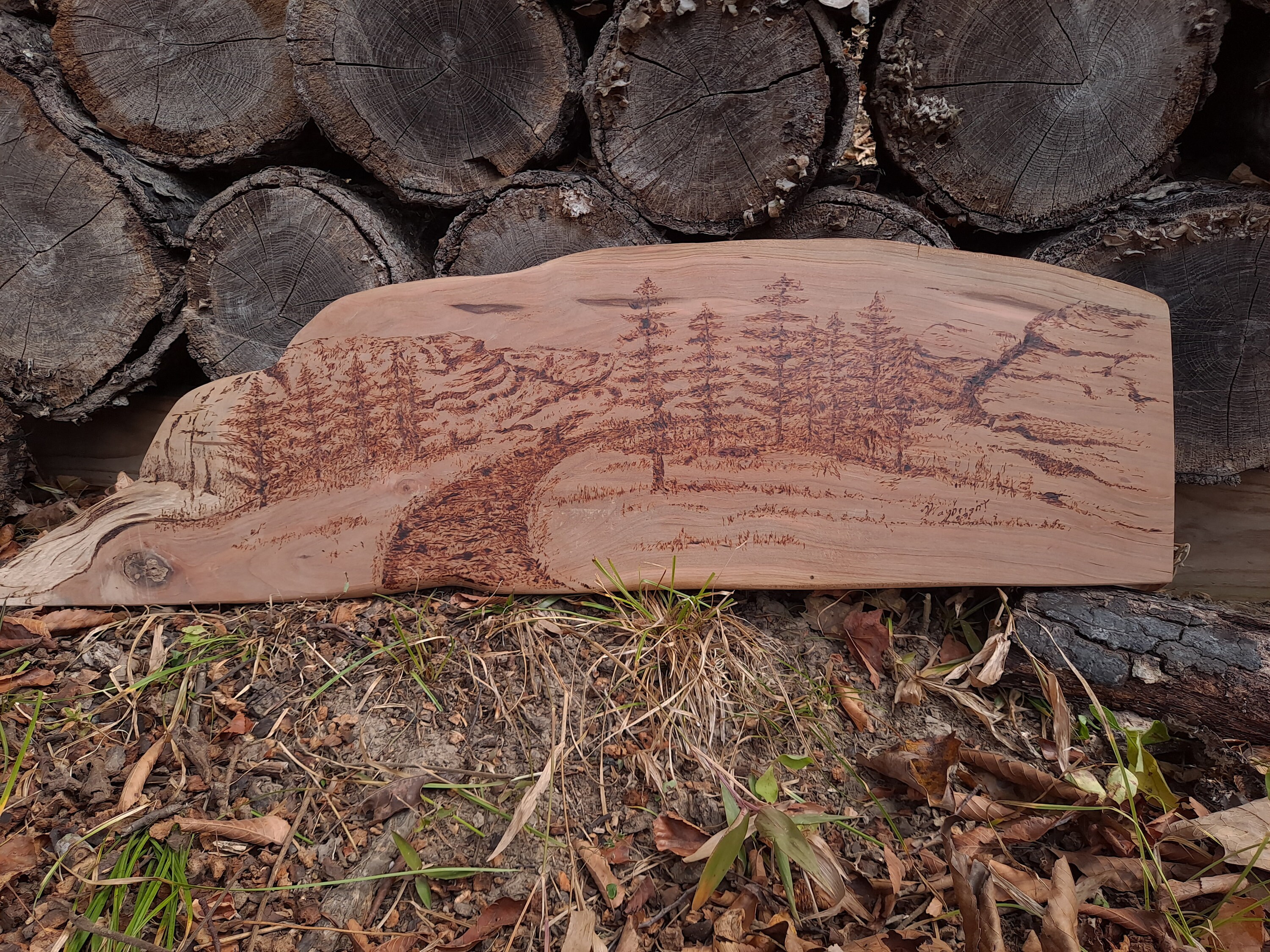 Wood Burned Nature Scene on Black Walnut - Etsy