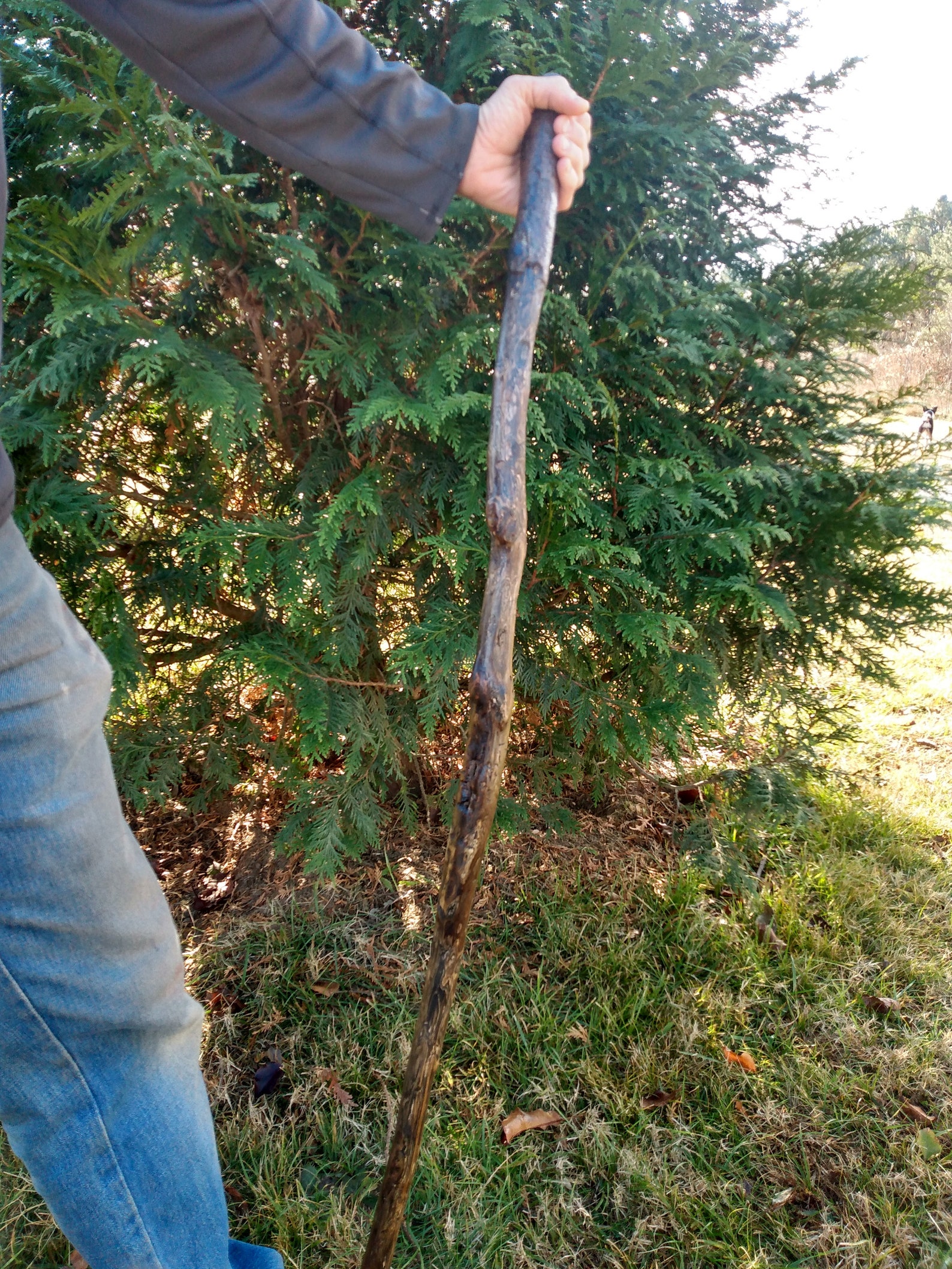 Customizable Walking Sticks and Pole Staffs - Etsy